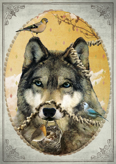 Ansichtkaart Wolf – Kaartje of Kip